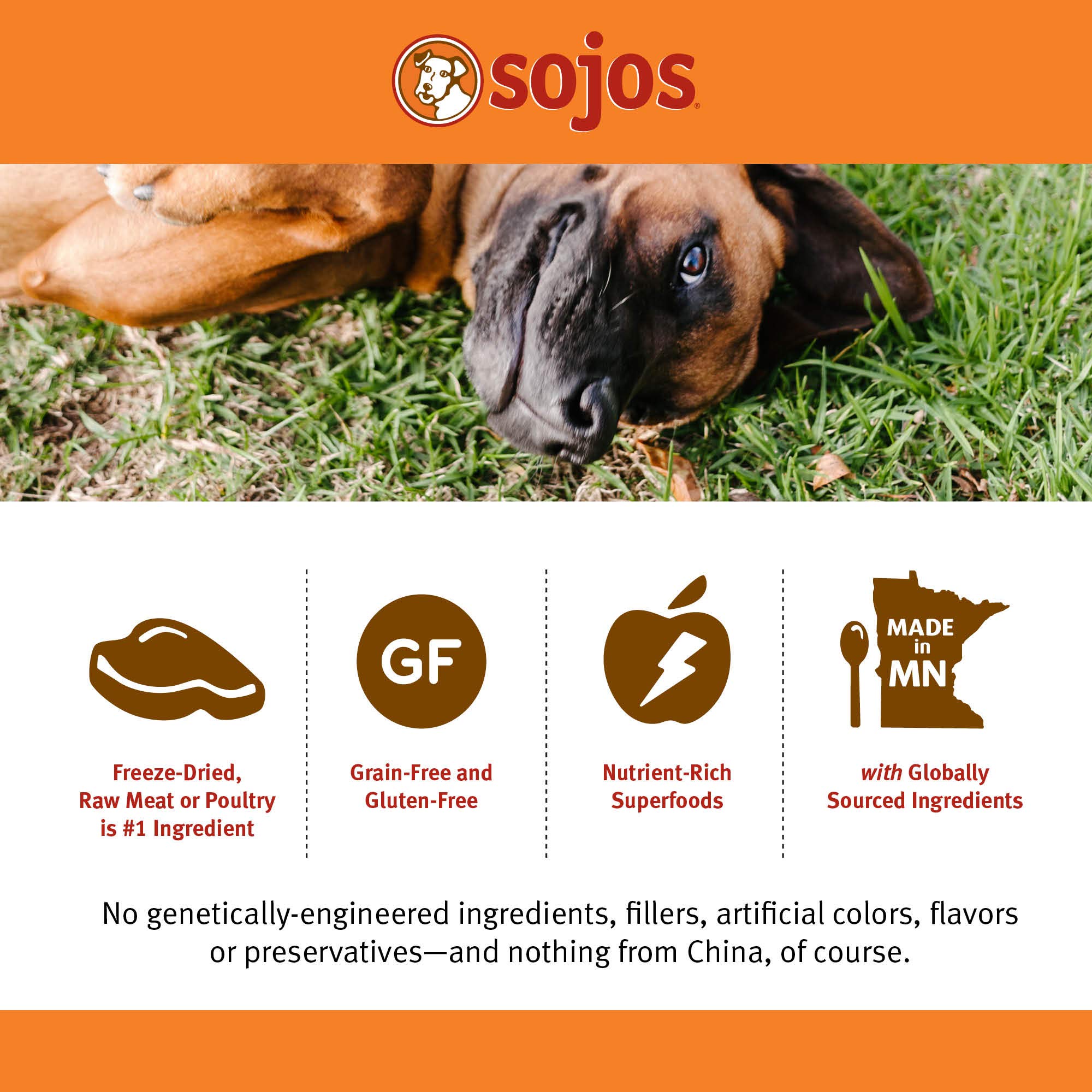 Sojos Complete Lamb Recipe Dehydrated Dog Food, 7 lb