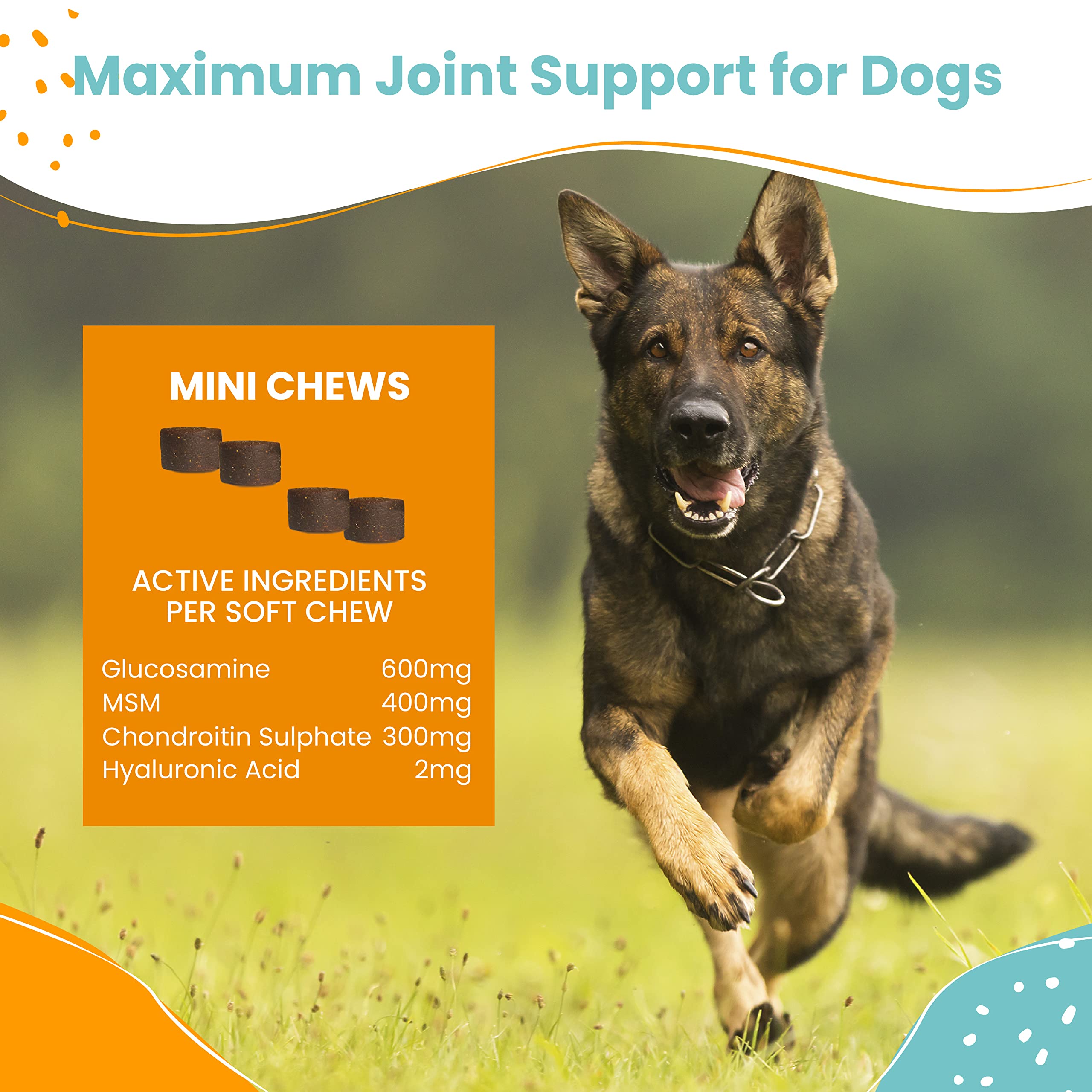 Nootie Glucosamine for Dogs - 250 ct - Hip and Joint Soft Chews Supplement for Dogs - Daily Dog MSM Chondroitin Chews with Turmeric - Joint Care Vitamins for All Breeds and Sizes USA