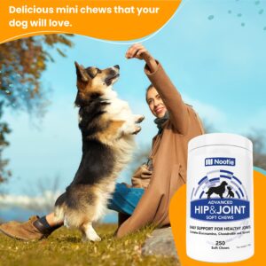 Nootie Glucosamine for Dogs - 250 ct - Hip and Joint Soft Chews Supplement for Dogs - Daily Dog MSM Chondroitin Chews with Turmeric - Joint Care Vitamins for All Breeds and Sizes USA