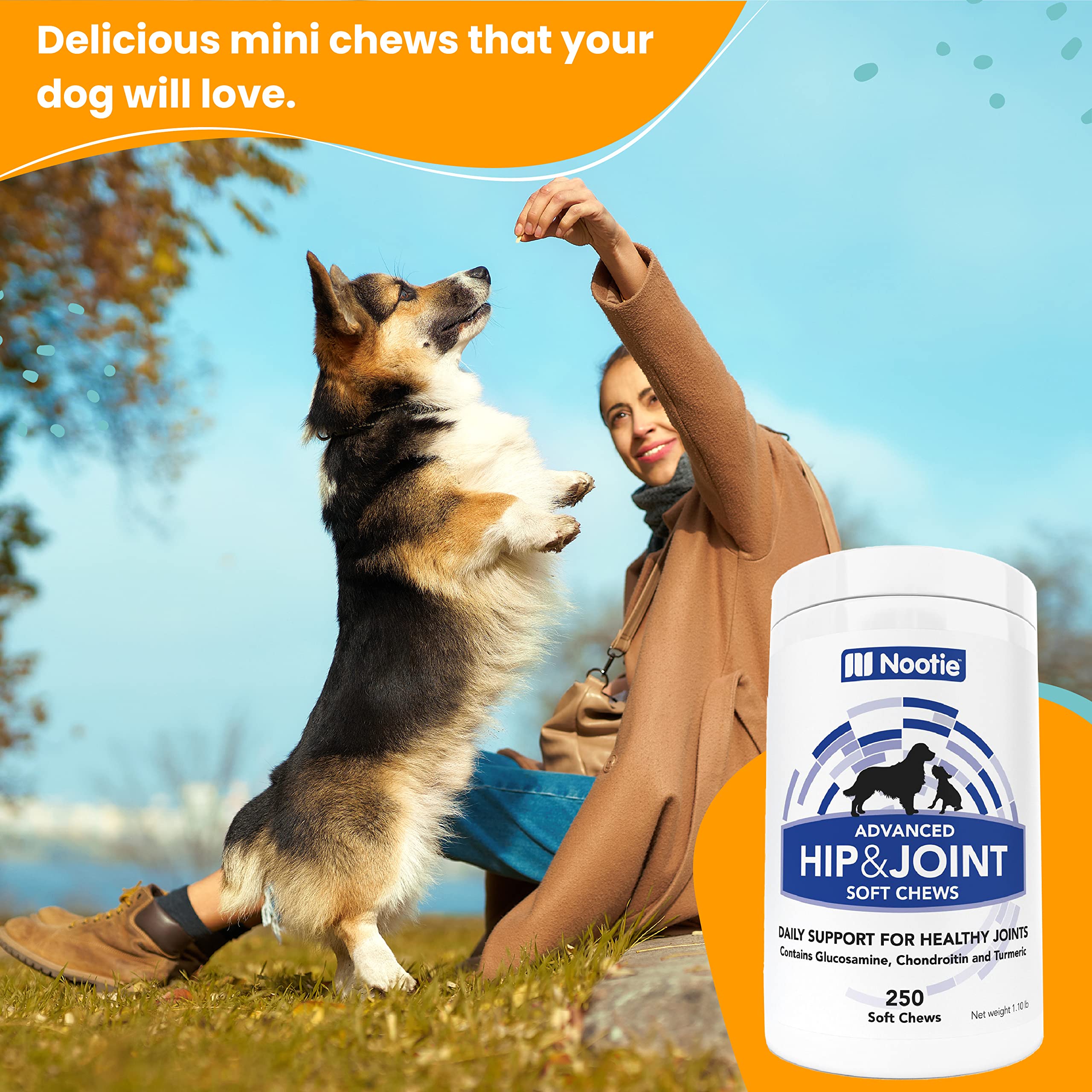 Nootie Glucosamine for Dogs - 250 ct - Hip and Joint Soft Chews Supplement for Dogs - Daily Dog MSM Chondroitin Chews with Turmeric - Joint Care Vitamins for All Breeds and Sizes USA