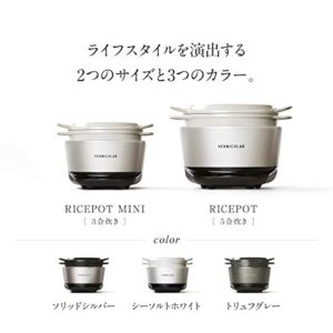 VERMICULAR RICEPOT RP23A-SV【Japan Domestic genuine products】