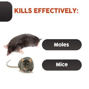 Ouell mini powerful snap trap - reusable mouse trap - mouse traps snap - no touch humane - rat traps - mole traps - mice trap