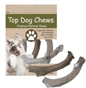 top dog chews brand | 3 pack | a grade | deer and elk antler dog chews medium 4"-6". perfect for small and medium dogs