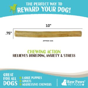 Raw Paws 10-inch Compressed Rawhide Sticks for Dogs, 100-count Bulk - Packed in The USA - Natural Rawhide Dog Chews - Pressed Rawhide for Large Dogs - Bulk Rawhide Chews