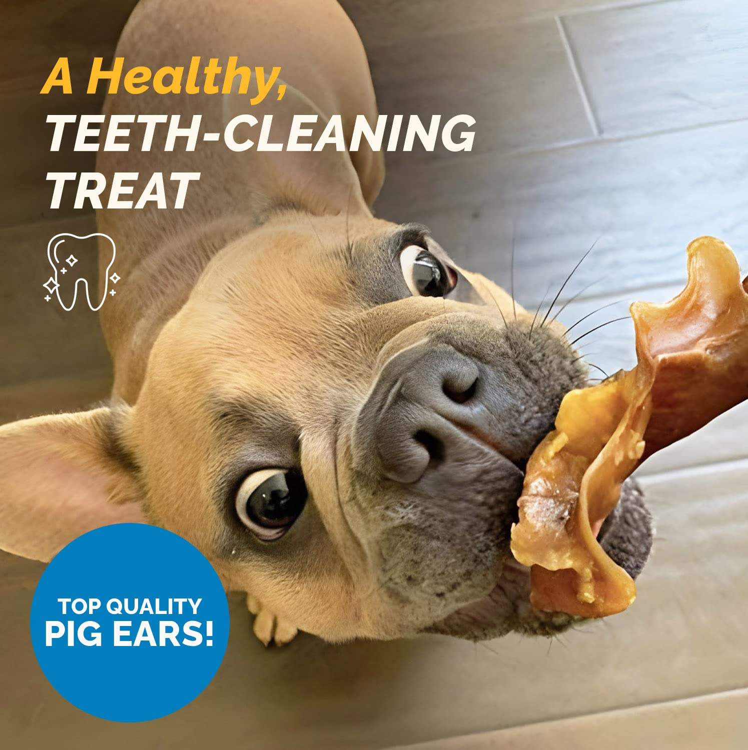 123 Treats - Pig Ears for Dogs - 1lb All-Natural Pork Chews, Dental Care Treats for Small to Large Breeds