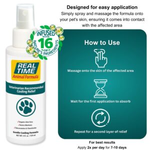 Real Time Pain Relief Pet Formula - 4oz Spray Bottle | Vet Recommended Relief for Pets | 16 Natural Ingredients Including Menthol, Aloe Vera, and Arnica | Gentle Cooling Sensation | Easy Application