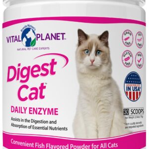 Vital Planet - Digest Cat Digestive Pancreatic Enzyme Blend with Pumpkin and Ginger to Support the Pancreas and Healthy Digestion with Pancreatin, Salmon Flavored Powder for Cats - 111 Grams 30 Scoops