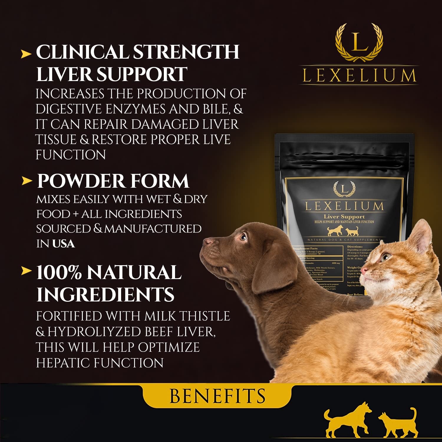 Lexelium Liver Support Supplement for Dogs and Cats - Great for Detoxing and Helps Kidney, Liver & Skin Function - Cat Liver Support - Milk Thistle + Lysine + Choline Bitartrate + Methionine – 200g