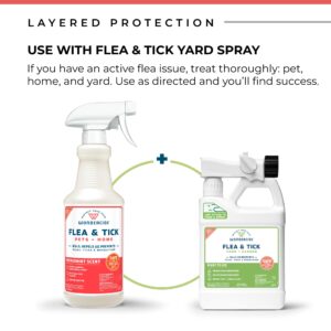 Wondercide - Flea, Tick & Mosquito Spray for Dogs, Cats, and Home - Control, Prevention, Treatment - with Natural Essential Oils - Pet and Family Safe - Peppermint 16 oz