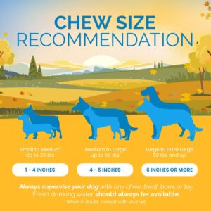 123 Treats - Pig Ears for Dogs - 1lb All-Natural Pork Chews, Dental Care Treats for Small to Large Breeds