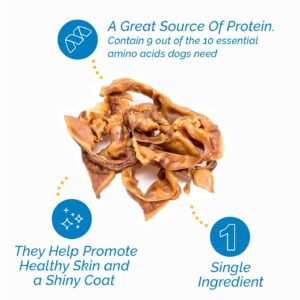 123 Treats - Pig Ears for Dogs - 1lb All-Natural Pork Chews, Dental Care Treats for Small to Large Breeds