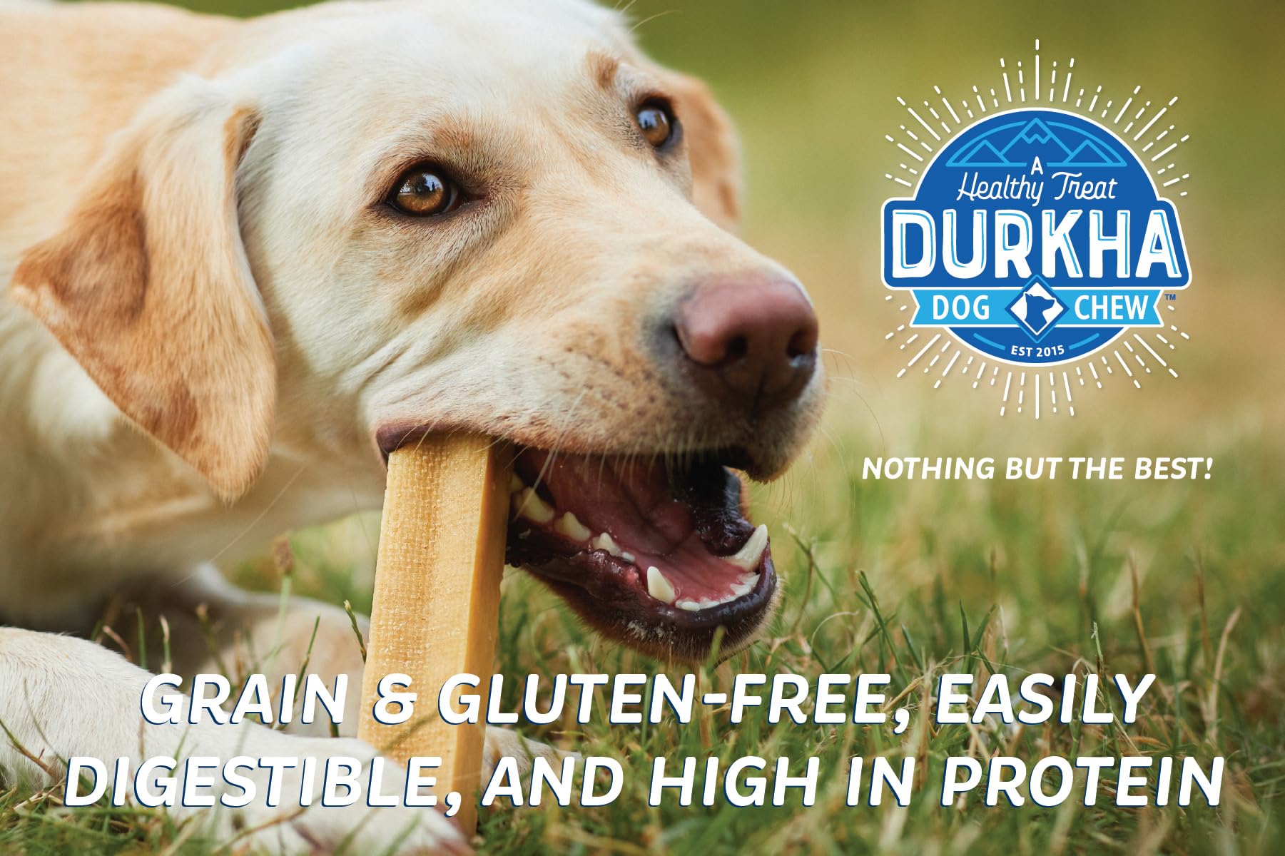 Durkha Yak Cheese Chews: Himalayan Yak Cheese Dog Chews- Natural, Healthy & Long Lasting Dog Treats - Grain, Gluten & Lactose-Free Rawhide Alternatives, For Dogs 55 lbs and Smaller, Single Large Stick