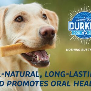 Durkha Yak Cheese Chews: Himalayan Yak Cheese Dog Chews- Natural, Healthy & Long Lasting Dog Treats - Grain, Gluten & Lactose-Free Rawhide Alternatives, For Dogs 55 lbs and Smaller, Single Large Stick