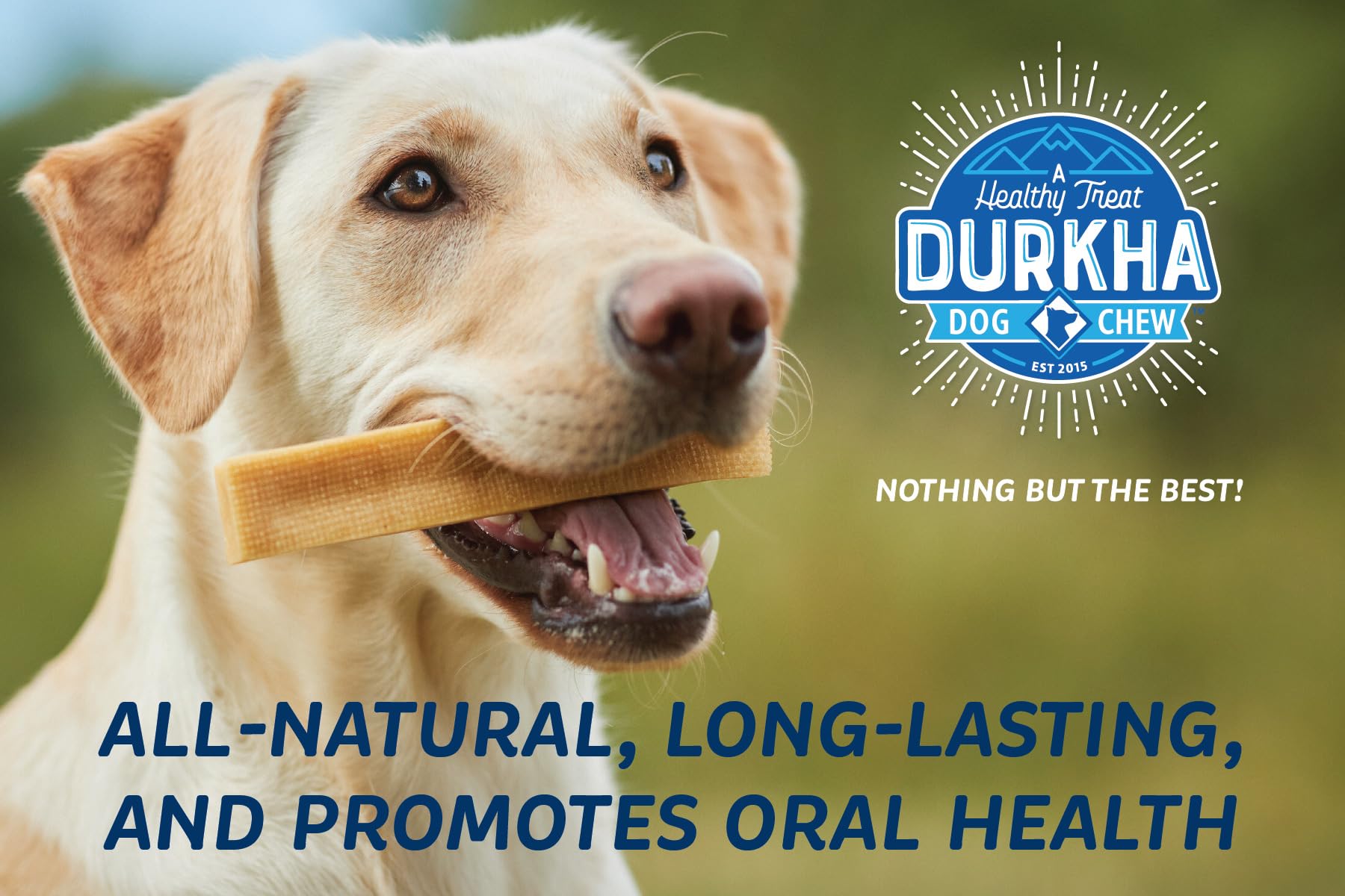 Durkha Yak Cheese Chews: Himalayan Yak Cheese Dog Chews- Natural, Healthy & Long Lasting Dog Treats - Grain, Gluten & Lactose-Free Rawhide Alternatives, For Dogs 55 lbs and Smaller, Single Large Stick