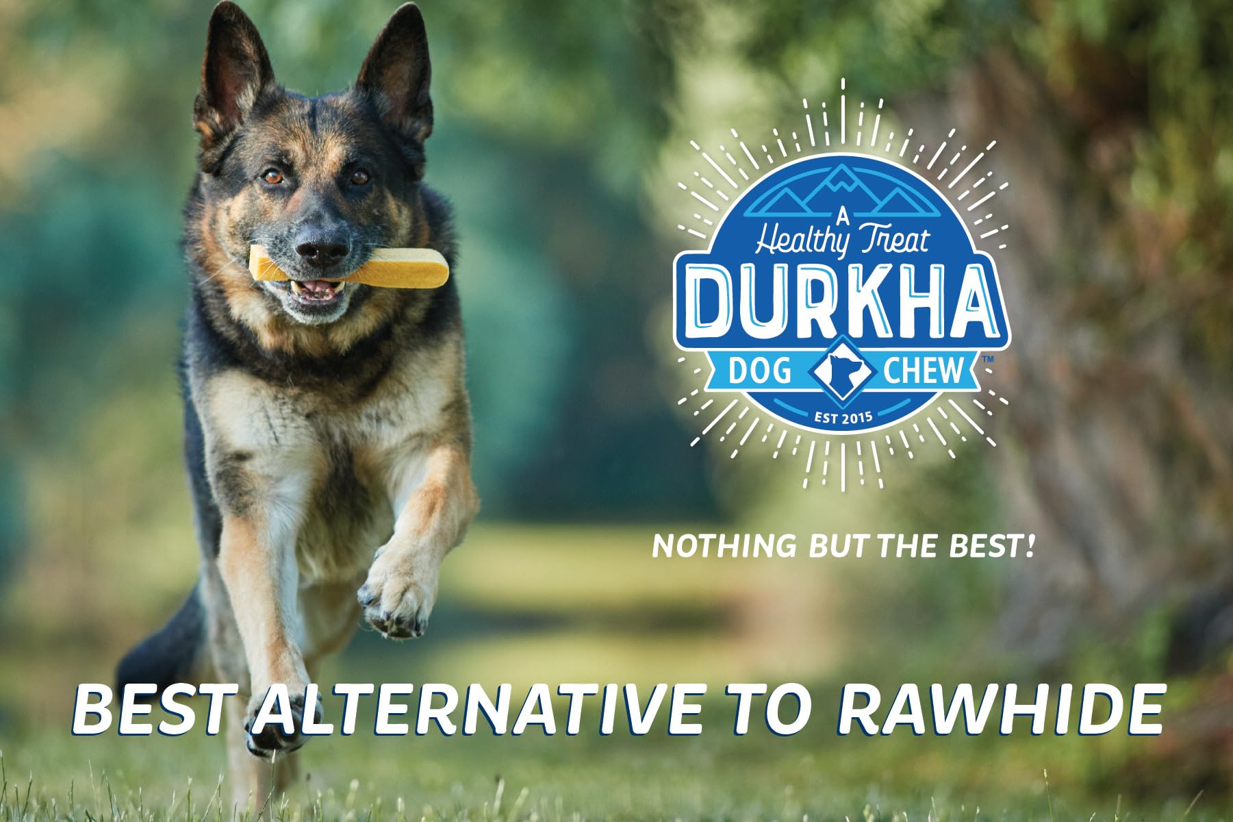 Durkha Yak Cheese Chews: Himalayan Yak Cheese Dog Chews- Natural, Healthy & Long Lasting Dog Treats - Grain, Gluten & Lactose-Free Rawhide Alternatives, For Dogs 55 lbs and Smaller, Single Large Stick