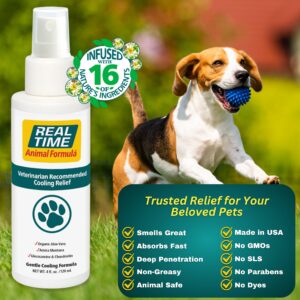 Real Time Pain Relief Pet Formula - 4oz Spray Bottle | Vet Recommended Relief for Pets | 16 Natural Ingredients Including Menthol, Aloe Vera, and Arnica | Gentle Cooling Sensation | Easy Application