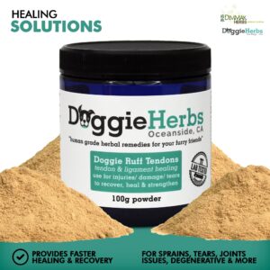 Dog Ligament and Tendon Healing - All Natural Human Grade Dog Tendon and Ligament Supplement – Powder Herbal Blend – 100g by Doggie Herbs