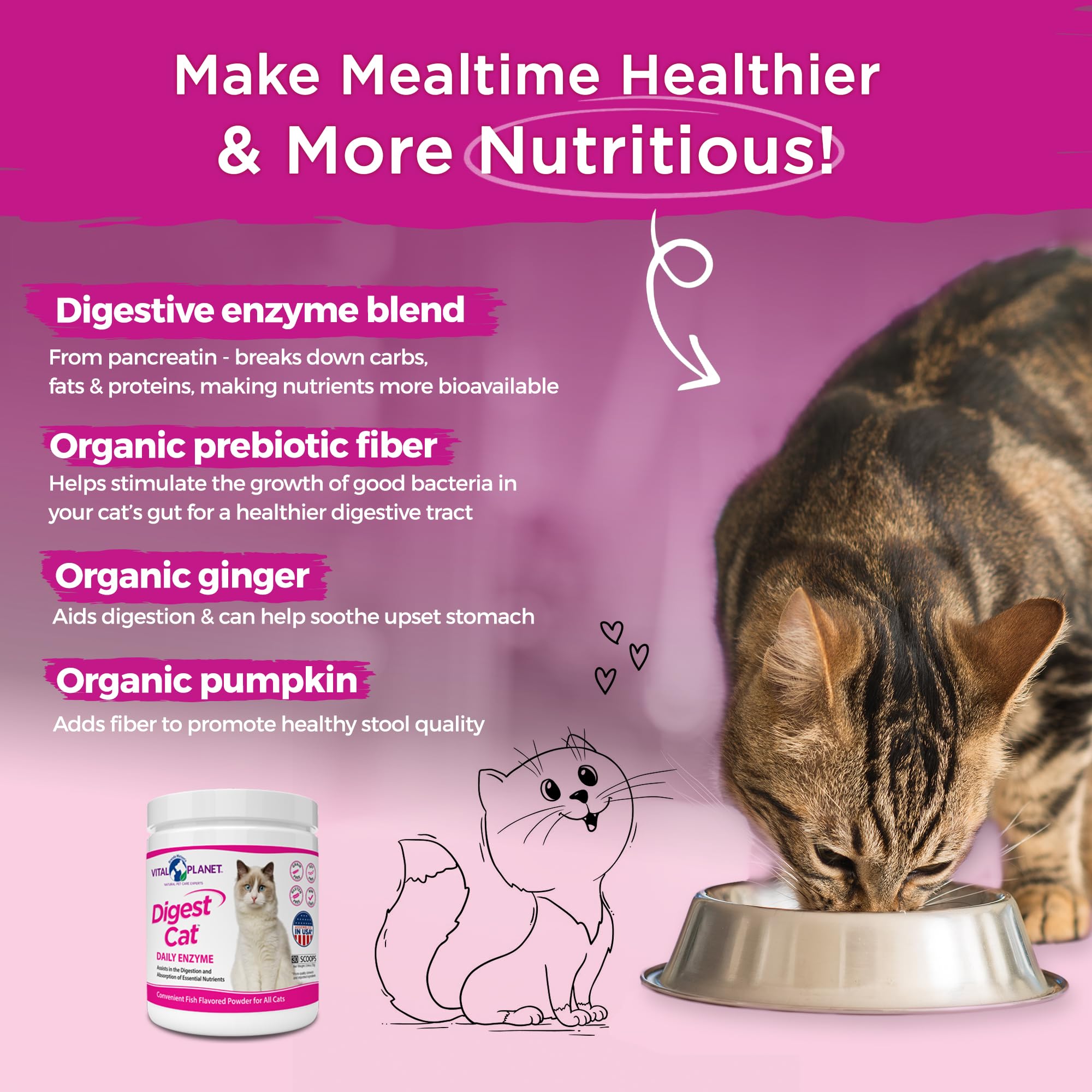 Vital Planet - Digest Cat Digestive Pancreatic Enzyme Blend with Pumpkin and Ginger to Support the Pancreas and Healthy Digestion with Pancreatin, Salmon Flavored Powder for Cats - 111 Grams 30 Scoops