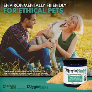 Dog Ligament and Tendon Healing - All Natural Human Grade Dog Tendon and Ligament Supplement – Powder Herbal Blend – 100g by Doggie Herbs