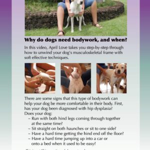 Holistic Horseworks Canine Musculoskeletal Unwinding Home Study Course - Watch Instantly, with Copy Canine Musculoskeletal Unwinding Workbook - for Dog and Pets Lovers