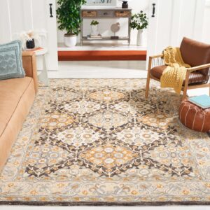 safavieh aspen collection area rug - 8' x 10', beige & brown, handmade boho wool, ideal for high traffic areas in living room, bedroom (apn304a)