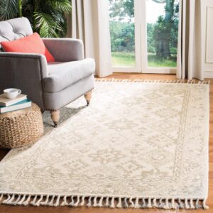 safavieh aspen collection accent rug - 4' x 6', light grey & grey, handmade boho braided tassel wool, ideal for high traffic areas in entryway, living room, bedroom (apn120a)