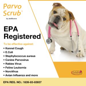 Jani-Source ParvoScrub RTU: Veterinary Disinfectant & Kennel Cleaner, 1 Quart (3-Pack)