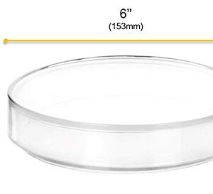 EISCO Plastic Petri Dish with Lid - 6" Diameter, 0.75" Depth - Molded in Polypropylene - Reusable, Autoclavable - Translucent