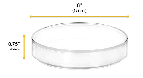 EISCO Plastic Petri Dish with Lid - 6" Diameter, 0.75" Depth - Molded in Polypropylene - Reusable, Autoclavable - Translucent