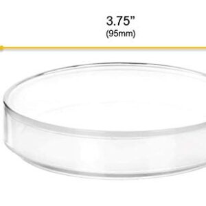 EISCO 12PK Polypropylene Petri Dishes with Lids - 95mm (3.75") Dish Diameter, 100mm (4") Lid Diameter, 13mm (0.5") Depth - Reusable