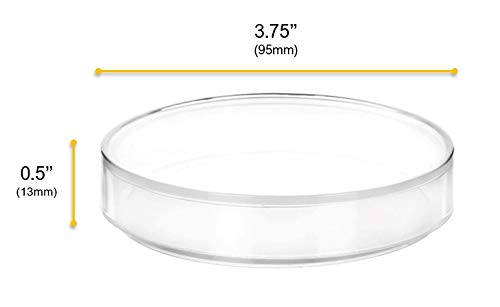 EISCO 12PK Polypropylene Petri Dishes with Lids - 95mm (3.75") Dish Diameter, 100mm (4") Lid Diameter, 13mm (0.5") Depth - Reusable