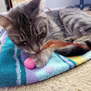 Bouncy Tails 5 Pack Interactive Bouncy Ball with Natural Feathers for Indoor Cats and Kittens who Love to Play and Have Fun.