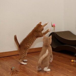 Bouncy Tails 5 Pack Interactive Bouncy Ball with Natural Feathers for Indoor Cats and Kittens who Love to Play and Have Fun.