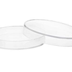 EISCO Plastic Petri Dish with Lid - 6" Diameter, 0.75" Depth - Molded in Polypropylene - Reusable, Autoclavable - Translucent