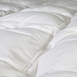 Grandeur Collection Down and Goose Feather Cotton Bed by - White Twin XL