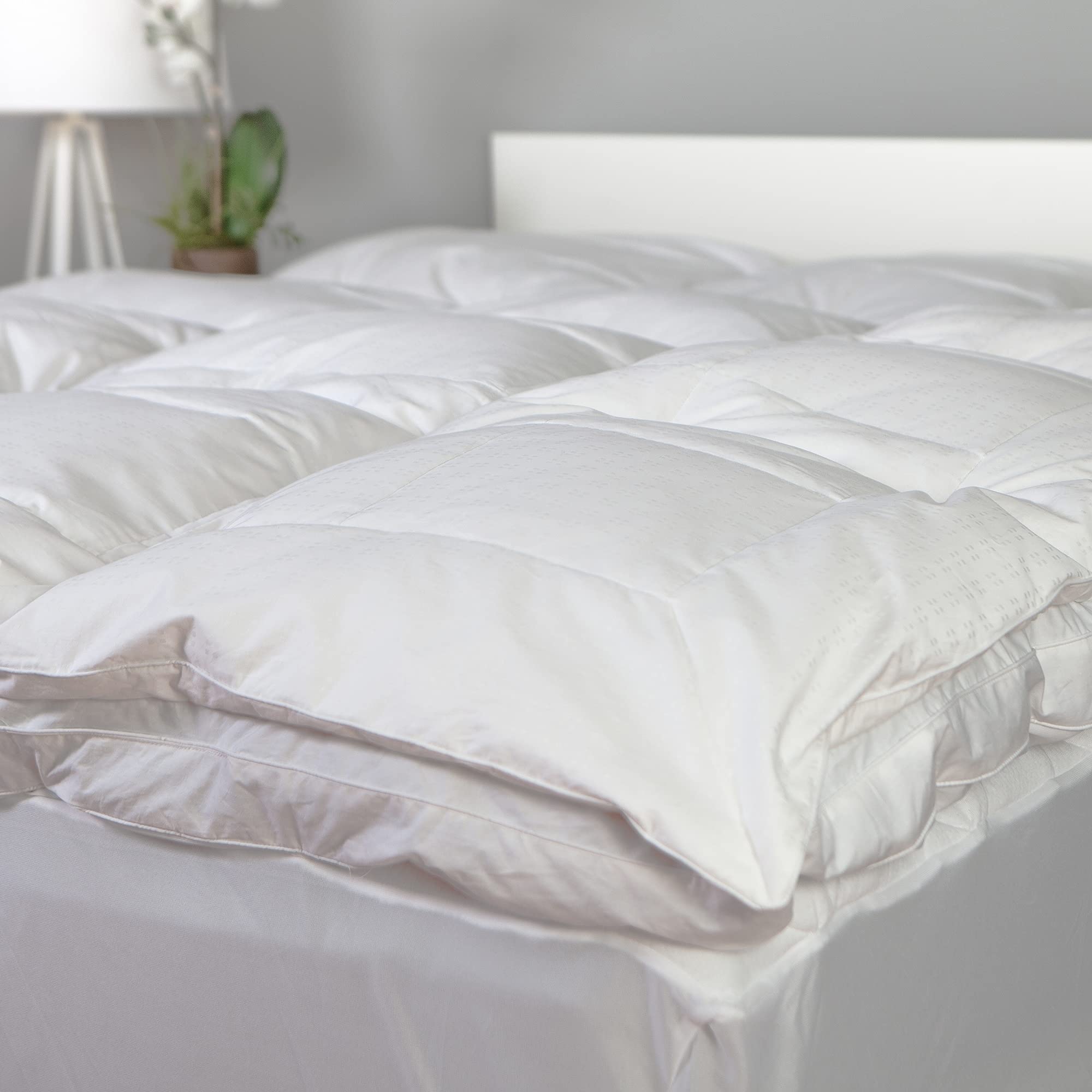 Grandeur Collection Down and Goose Feather Cotton Bed by - White Twin XL