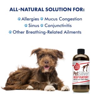 PetSilver Immune Support - Patented Chelated Silver Solution - Promotes Respiratory Health in Cats & Dogs - Allergies, Sinus & Cough Treatment - All-Natural Nebulizer Solution - Easy to Use 16 fl oz