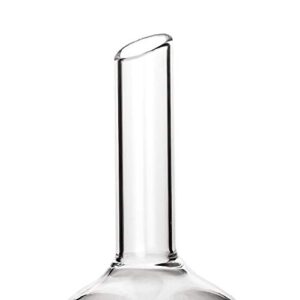 StonyLab Borosilicate Glass Buchner Filtering Funnel with Medium Frit(G2), 56mm Inner-Diameter, 60mm Depth (100ml)