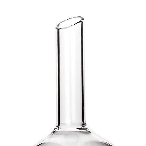 StonyLab Borosilicate Glass Buchner Filtering Funnel with Medium Frit(G2), 56mm Inner-Diameter, 60mm Depth (100ml)