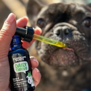 Homescape Pets Daily Thrive - Hemp Oil & Turmeric for Cats & Dogs - Anti-Inflammatory Pain Reliever - Boosts Energy & Allergy Immune System - Vet Recommended