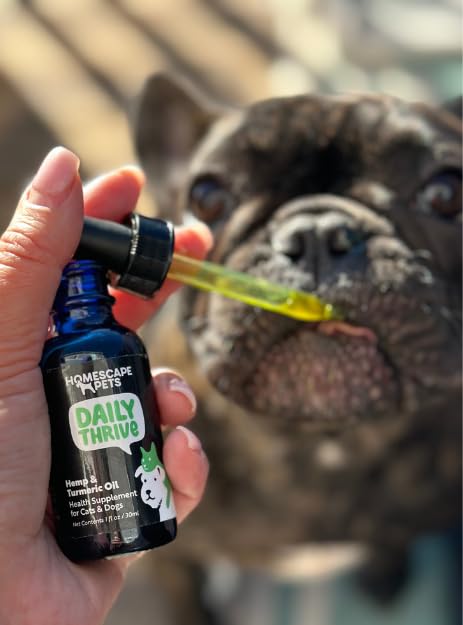 Homescape Pets Daily Thrive - Hemp Oil & Turmeric for Cats & Dogs - Anti-Inflammatory Pain Reliever - Boosts Energy & Allergy Immune System - Vet Recommended