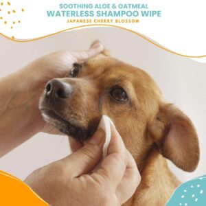 Nootie Waterless Shampoo Wipes for Dogs & Cats - Long Lasting Japanese Cherry Blossom Fragrance - Sold in Over 10,000 Vet Clinics and Pet Stores Worldwide, Made in USA - 70 Count