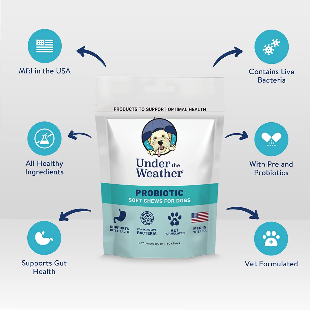 Under the Weather Pet Soft Dog Chew Supplements for Calming and Probiotics | Supports Relaxation and Normal Emotional Balance in Dogs (Probiotics, 60 Count)