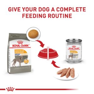 Royal Canin Large Sensitive Skin Care Dry Dog Food, 30 lb bag