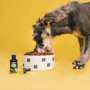 Homescape Pets Daily Thrive - Hemp Oil & Turmeric for Cats & Dogs - Anti-Inflammatory Pain Reliever - Boosts Energy & Allergy Immune System - Vet Recommended