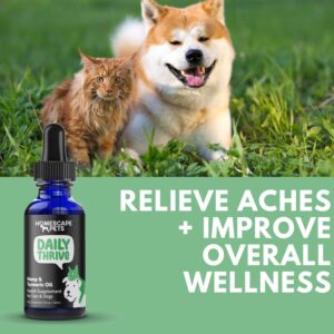 Homescape Pets Daily Thrive - Hemp Oil & Turmeric for Cats & Dogs - Anti-Inflammatory Pain Reliever - Boosts Energy & Allergy Immune System - Vet Recommended