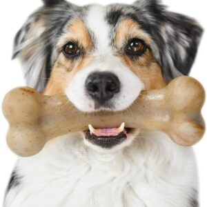 Pet Qwerks Original BarkBone - Nylon Dog Bone for Aggressive Chewers - BBQ Flavor - 7.75"