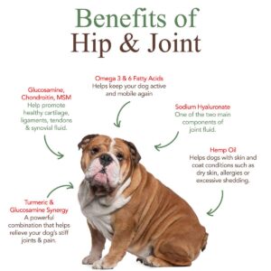 Veterinary Naturals Hip & Joint Supplement for Dogs - 60 Soft Dog Chews for Hip & Joint Support - Dog Vitamins and Supplements with Glucosamine for Dogs & MSM - Grain-Free, Roasted Chicken Flavor