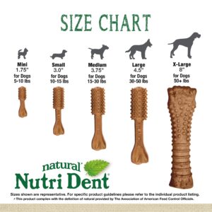 Nylabone Nutri Dent Dog Dental Chews - Natural Dog Teeth Cleaning & Breath Freshener - Dental Treats for Dogs - Filet Mignon Flavor, Medium (20 Count)