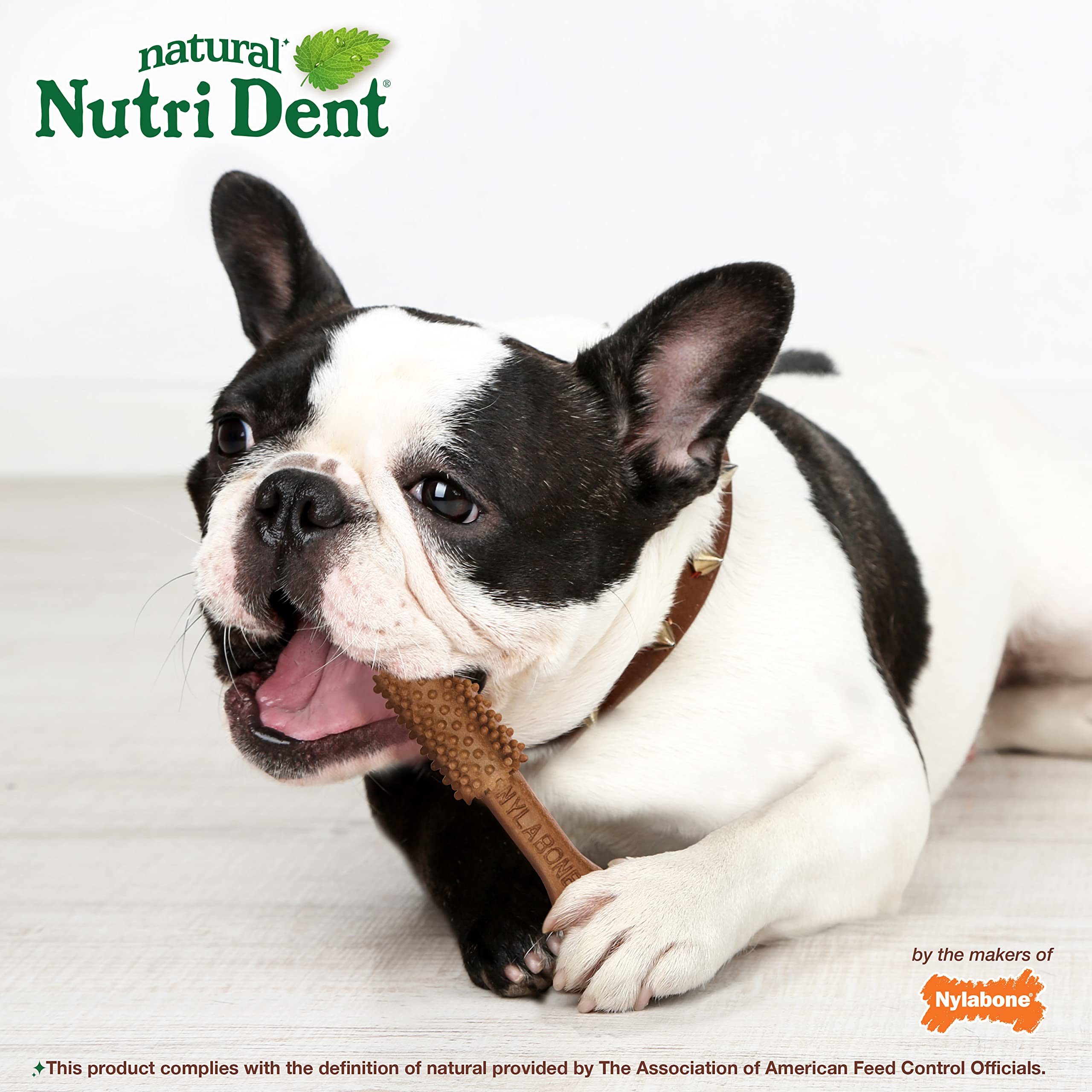 Nylabone Nutri Dent Dog Dental Chews - Natural Dog Teeth Cleaning & Breath Freshener - Dental Treats for Dogs - Filet Mignon Flavor, Medium (20 Count)